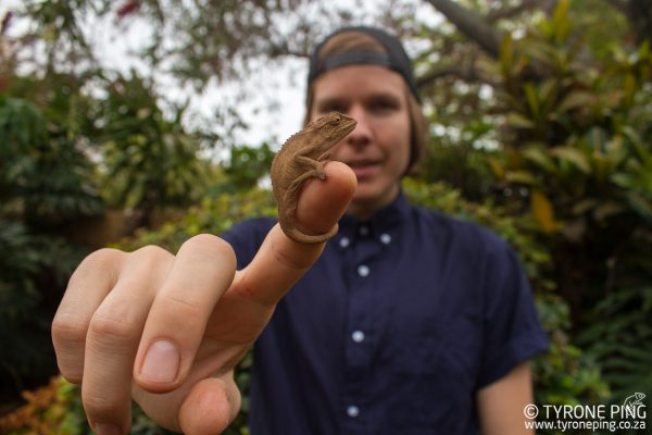 Southern Africa In The Field