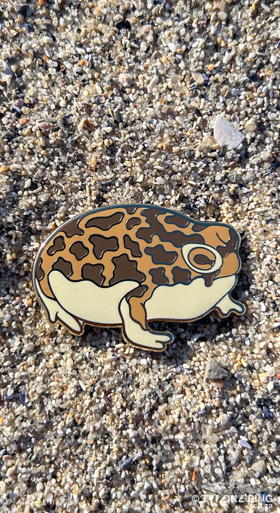 Desert Rain Frog Hard Enamel Pin (Brass) - Tyrone Ping