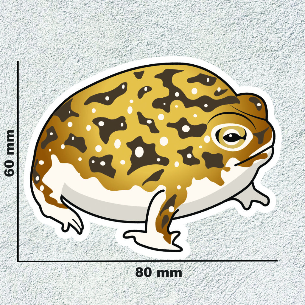 Rain Frog Stickers
