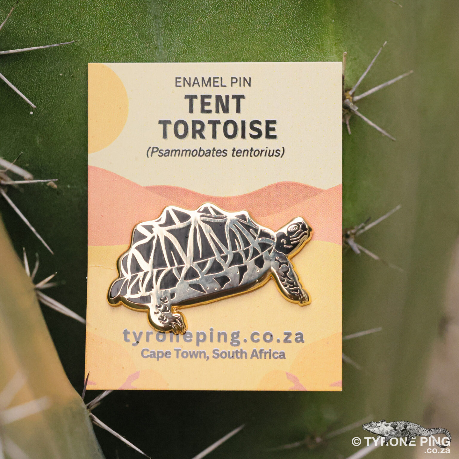 Tent Tortoise Enamel Pin
